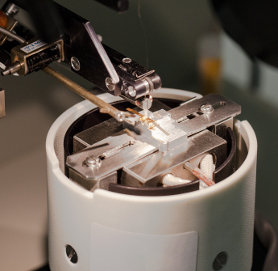Thorlabs · Thorlabs Semiconductor Manufacturing Capabilities