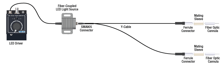 Thorlabs · Optogenetics Bifurcated Fiber Bundles: 2 Fibers