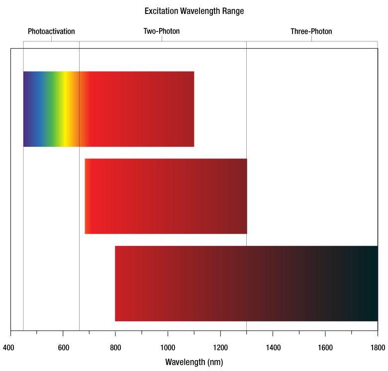 Thorlabs · Bergamo® III Series Multiphoton Microscopes