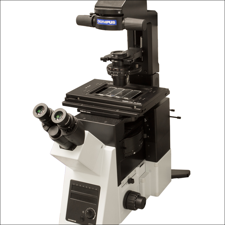 Thorlabs · High-Speed, Low-Profile Motorized XY Scanning Stages