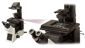 Thorlabs · High-Speed, Low-Profile Motorized XY Scanning Stages