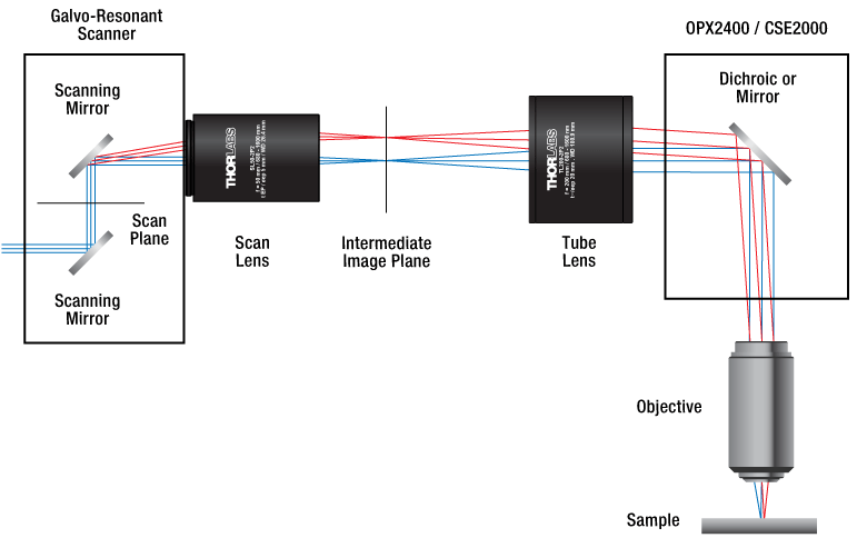 Thorlabs · Galvo-Resonant Scanners and Controllers