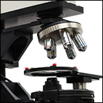 Thorlabs · Objective Mounting for DIY Cerna® Systems
