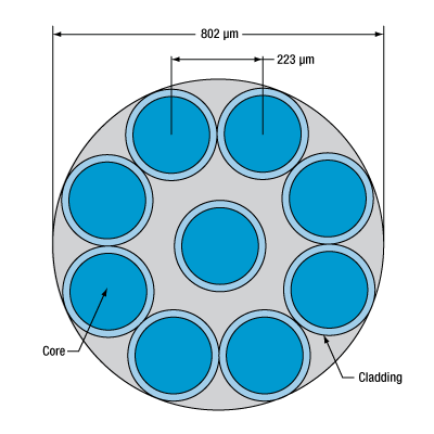 Thorlabs · Bifurcated Fiber Bundles: 19 Fibers