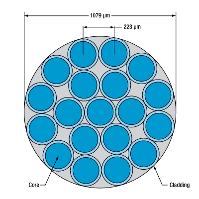 Thorlabs · Bifurcated Fiber Bundles: 19 Fibers