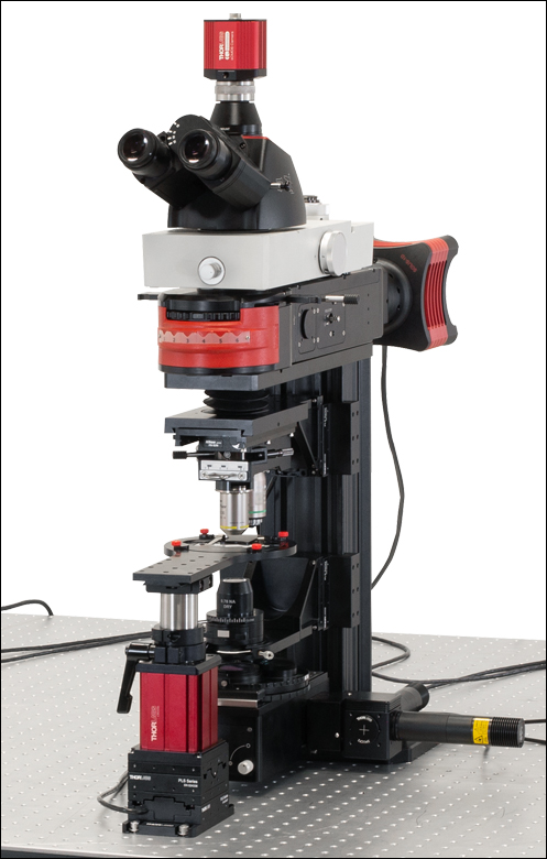 Thorlabs · Microscope Bodies for DIY Cerna® Systems