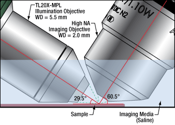 Thorlabs · Microscope Objectives, Water Dipping or Immersion
