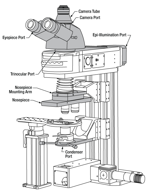 Thorlabs · Adapters for Cerna® Microscopes