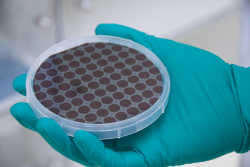 Thorlabs · In Search of the Perfect Mirror at Mid-Infrared Wavelengths
