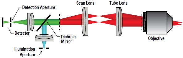 Thorlabs · Laser Scanning Microscopy Tutorial
