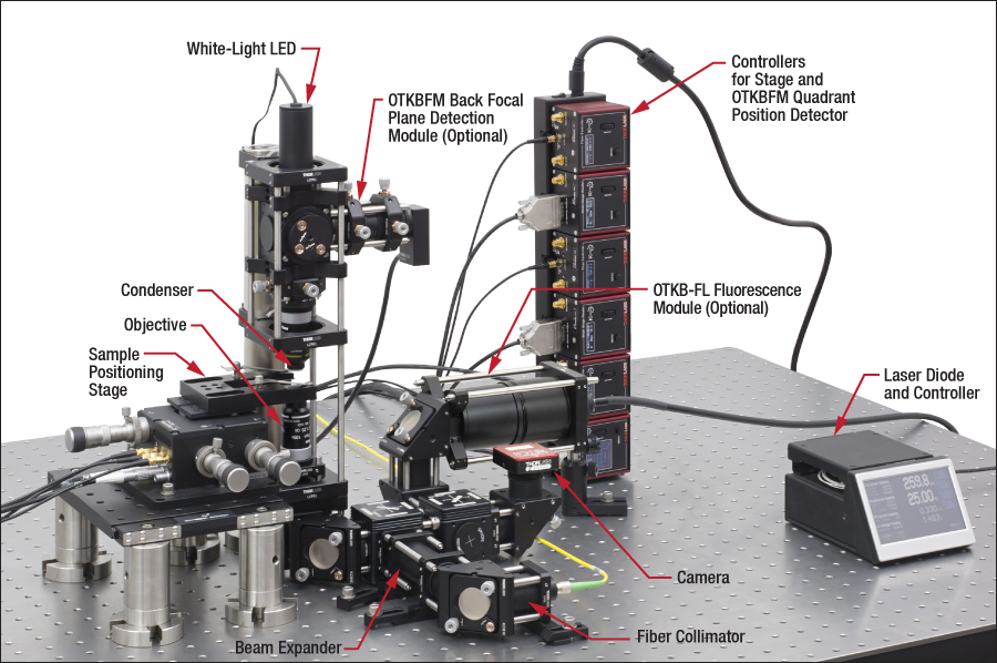 Thorlabs · Modular Optical Tweezers