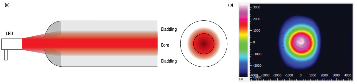 Thorlabs · Multimode Fiber Tutorial