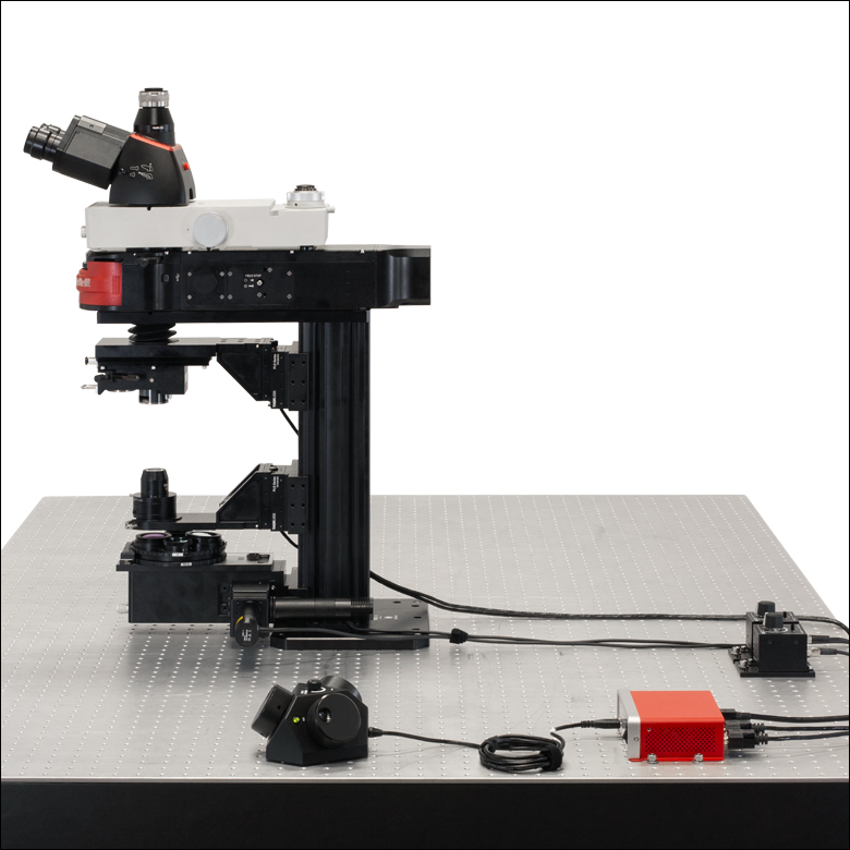 Thorlabs · Cerna® Microscope for Epi-Fluorescence and DIC in the ...