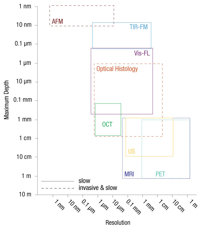 Thorlabs · OCT Systems Tutorial