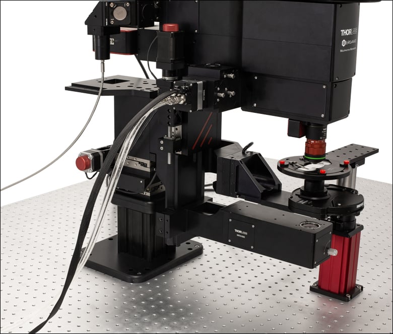 Thorlabs · Bergamo® III Series Multiphoton Microscopes