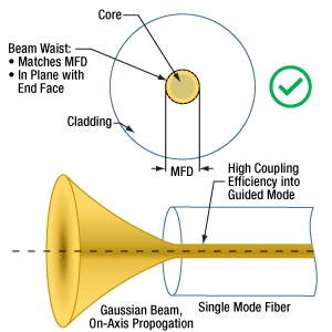 Thorlabs · Improving the Coupling Efficiency of Light into Single Mode ...