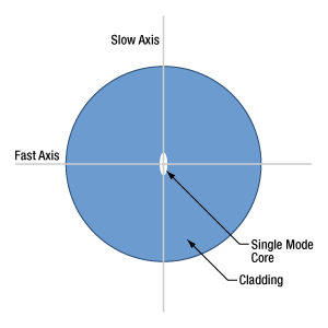 Thorlabs · Internal Stress in Polarization Maintaining Fiber Preserves ...