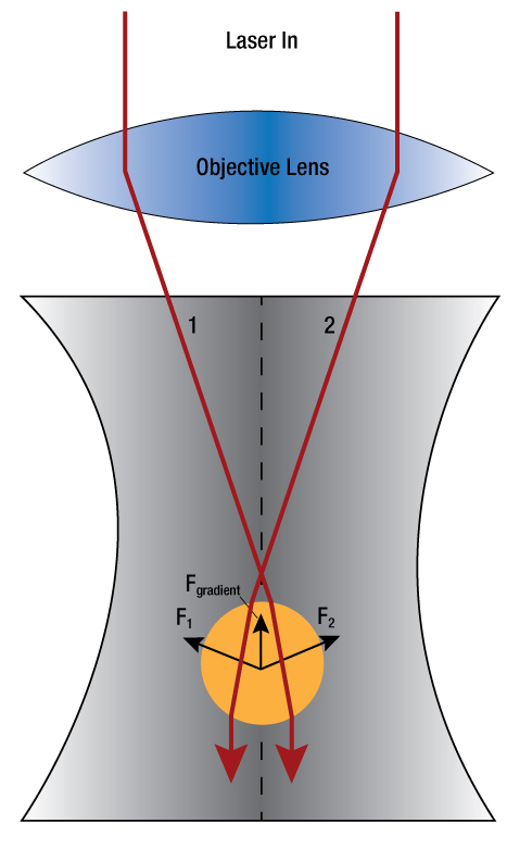 Thorlabs · Optical Tweezers Tutorial