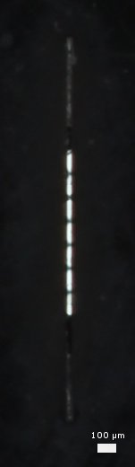 Thorlabs · Linear-to-Linear Fiber Optic Bundles