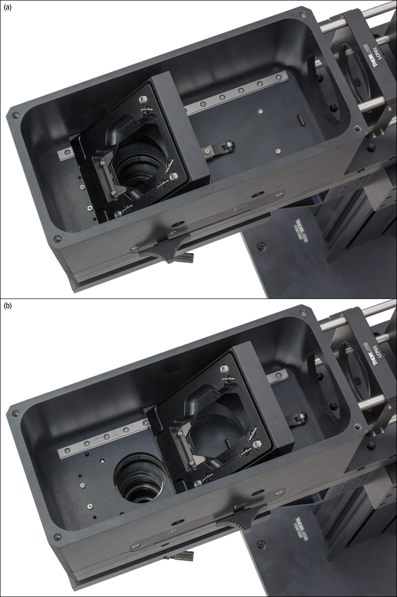Thorlabs · Laser Scanning for DIY Cerna® Systems