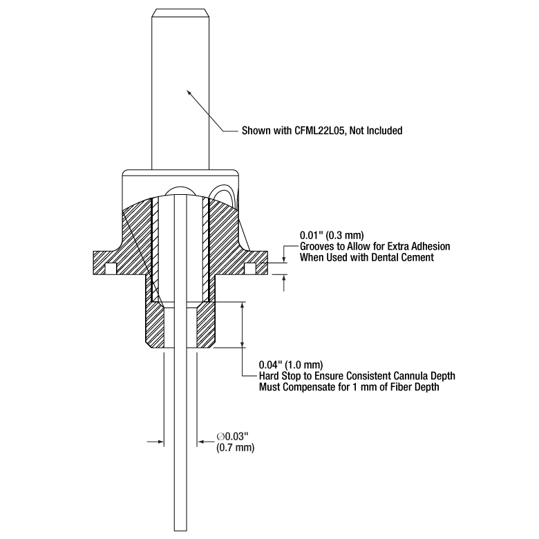 Thorlabs · Fiber Optic Cannulae with Diffuser Tip, Ø200 µm Core