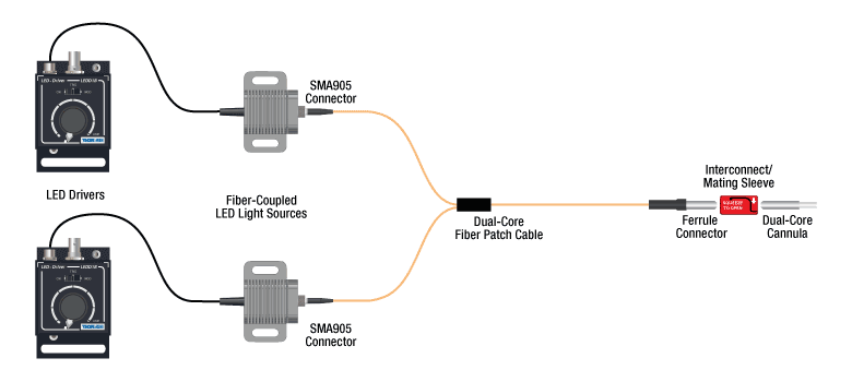 Thorlabs · Dual-Core Multimode Fiber Patch Cables for Optogenetics