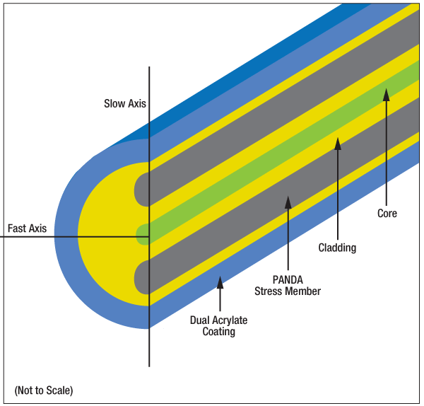 Thorlabs · Polarization-Maintaining Single Mode Optical Fiber