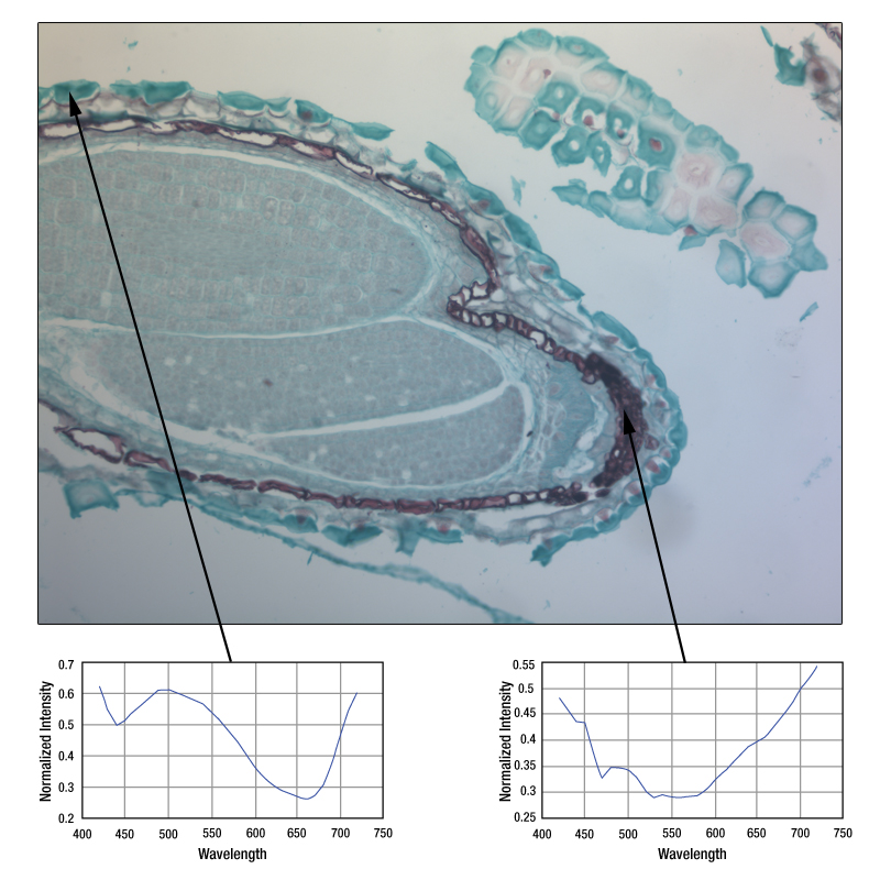 Thorlabs · Kurios® Liquid Crystal Tunable Bandpass Filters